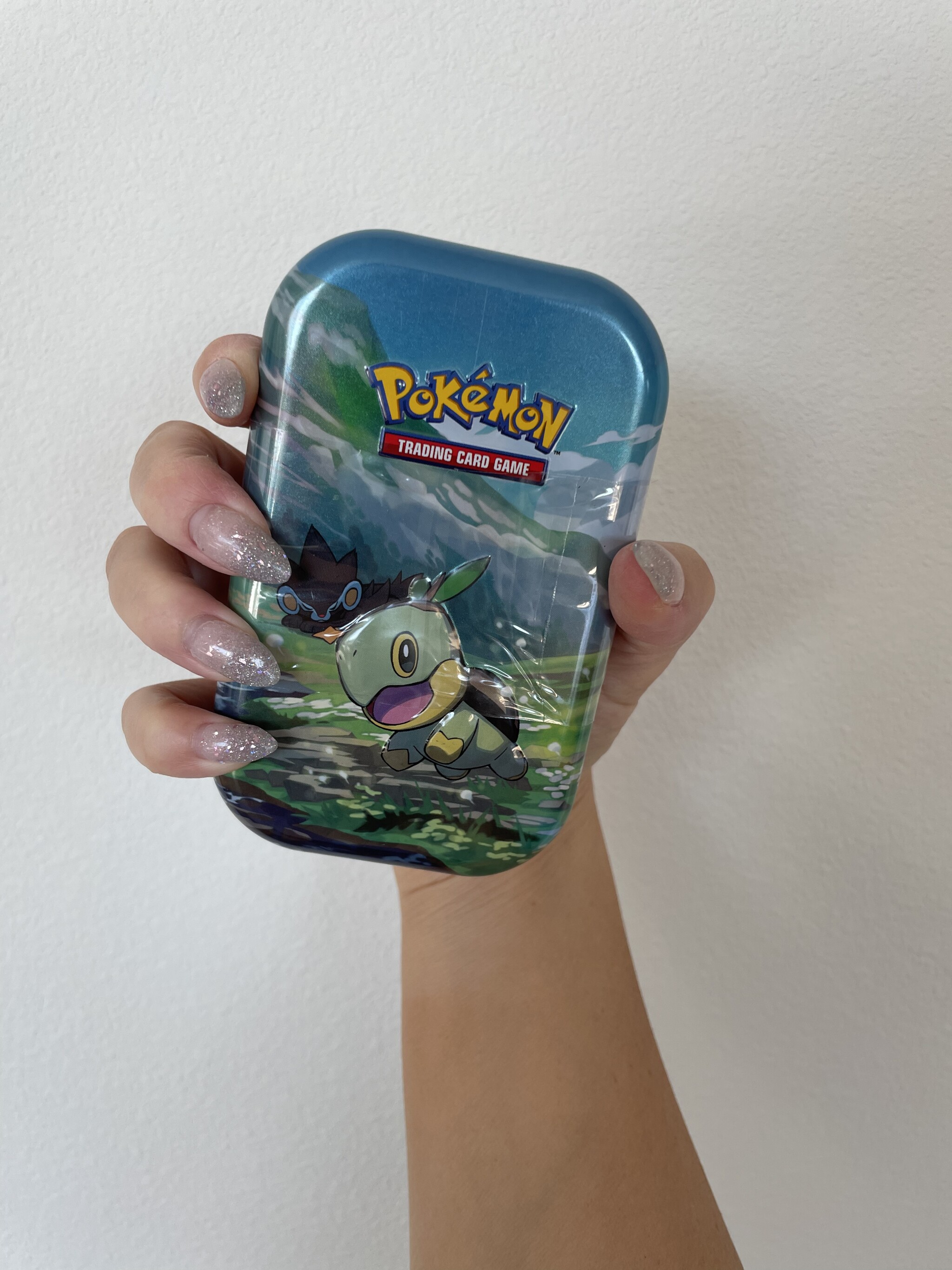 Pokemon mini tins : r/nailFetish
